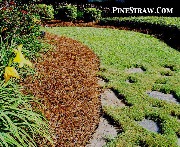 Pine Straw Store - 12,000 SqFt - B Grade - Home Delivery - Pine Straw Store